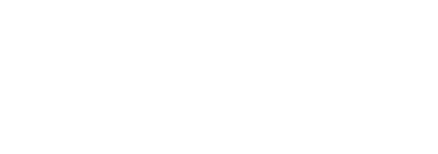 Investor